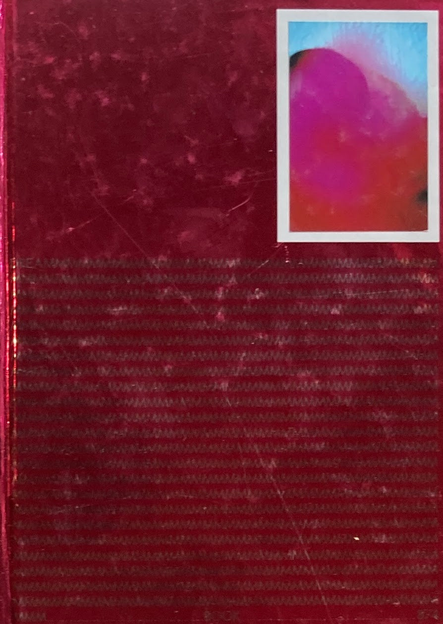 DREAMMMMM BOOK HANAYO 花代写真集 – smokebooks shop